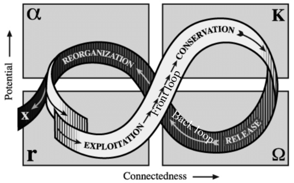 X-Life in The Back Loop – ENTANGLED ECOLOGIES